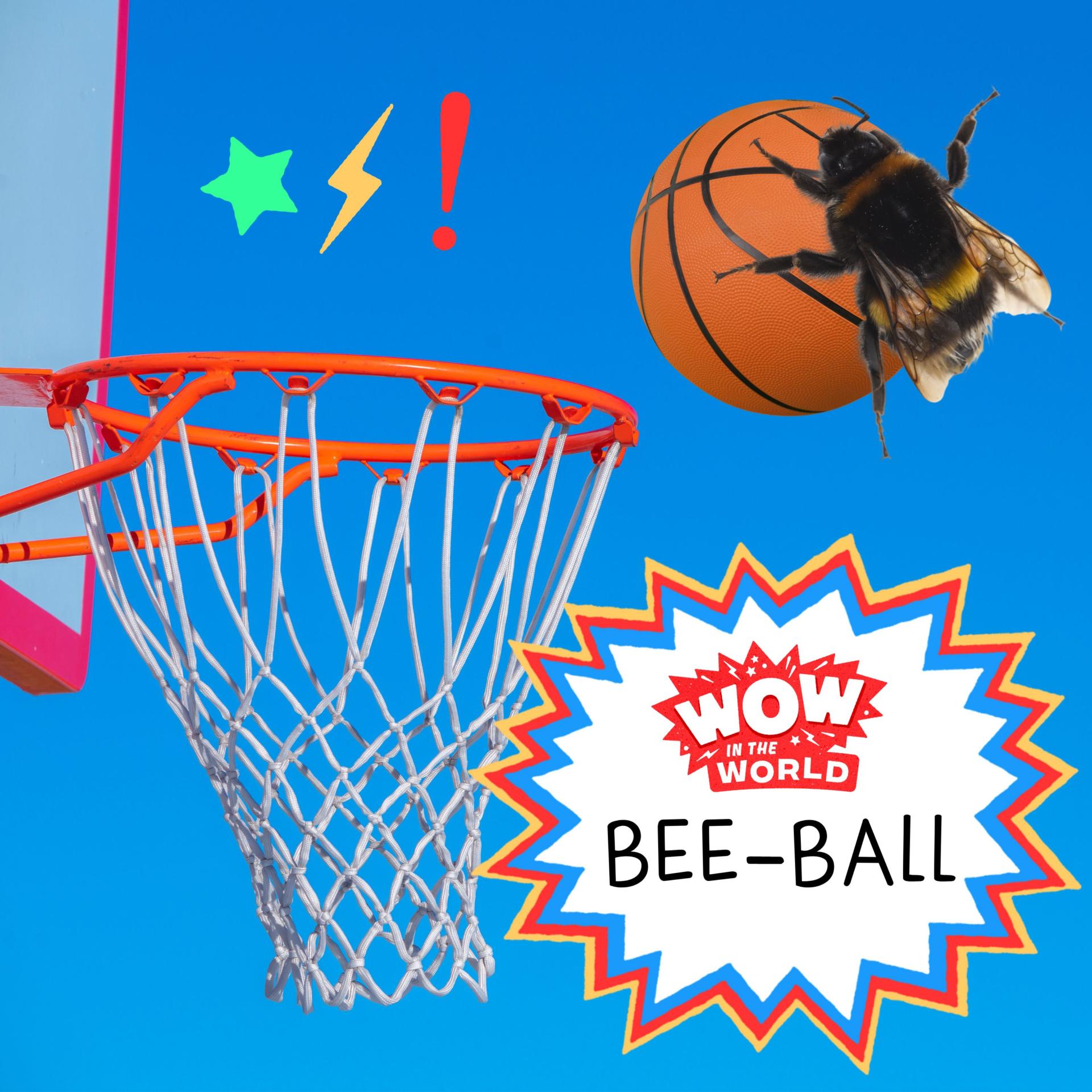 Bee-Ball - Tinkercast