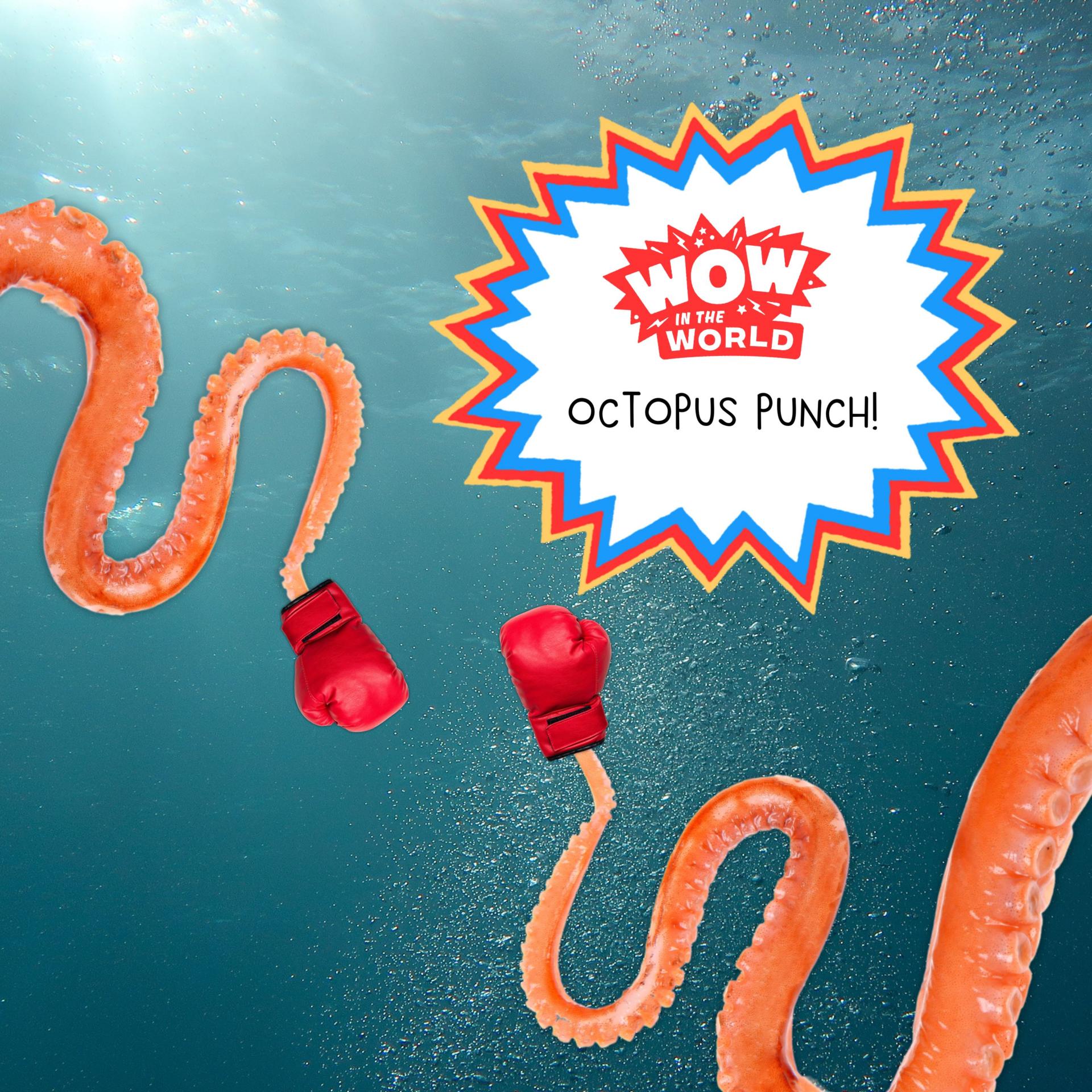 Octopus Punch - Tinkercast