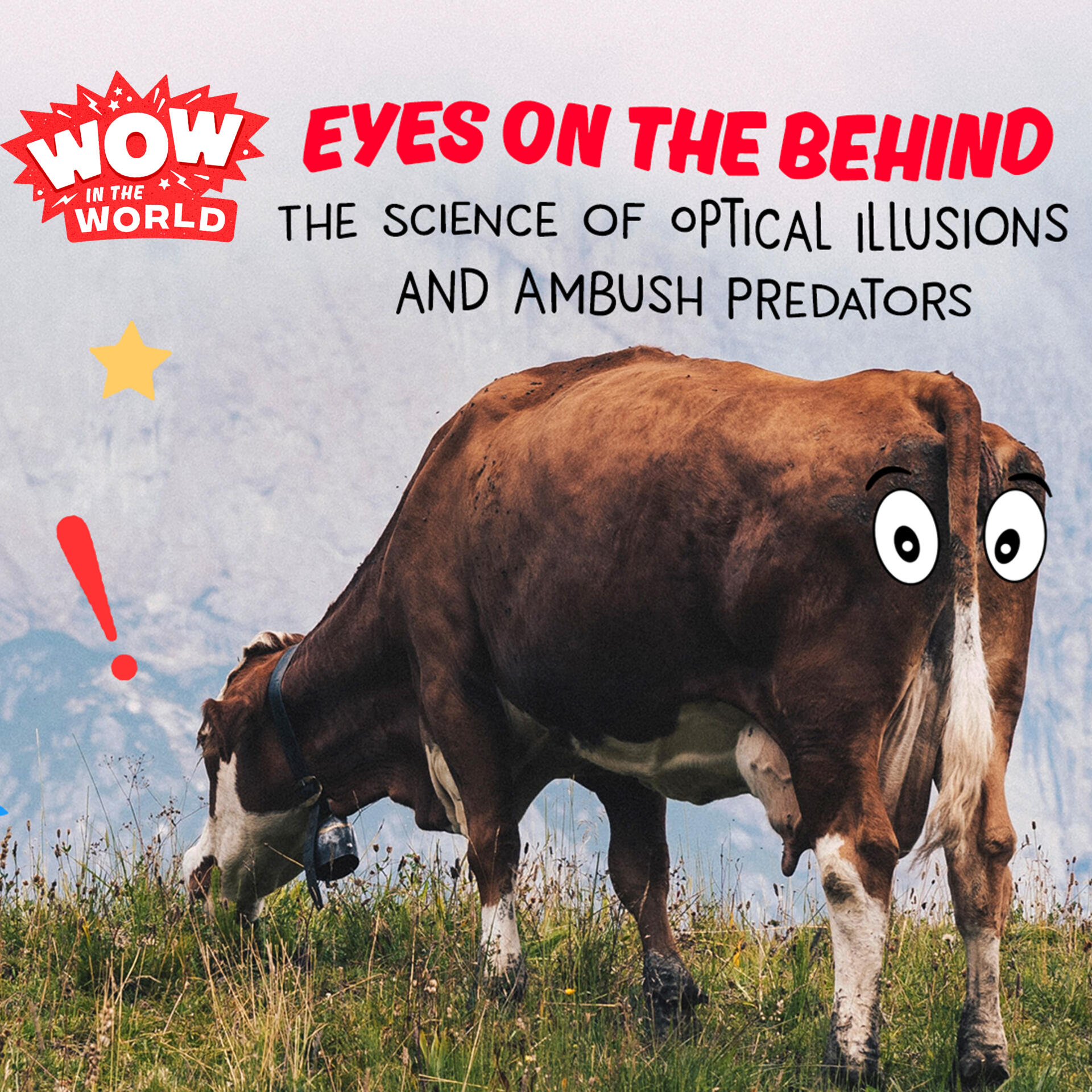 Eyes On The Behind: The Science of Optical Illusions and Ambush ...