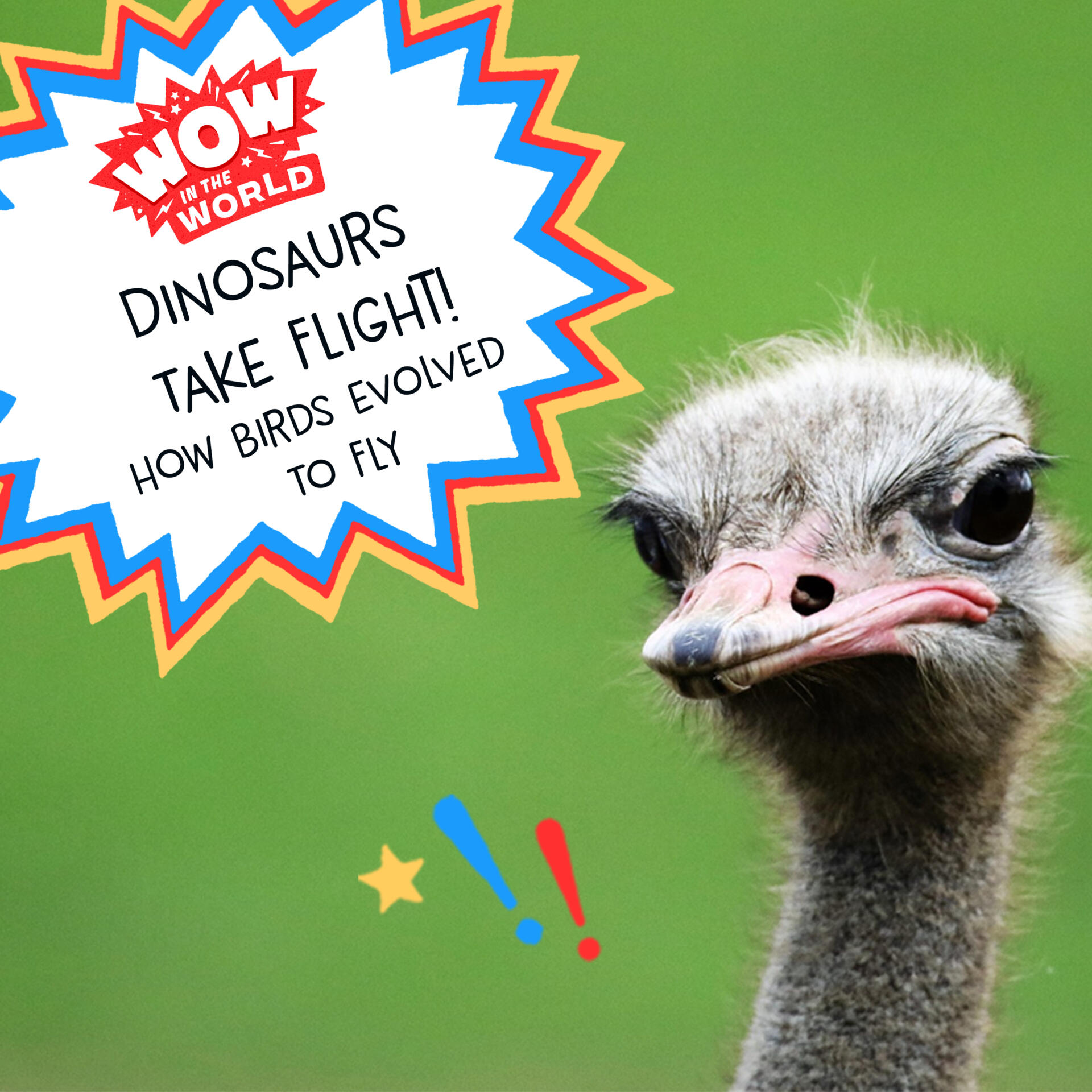 Dinosaurs Take Flight! How Birds Evolved To Fly - Tinkercast