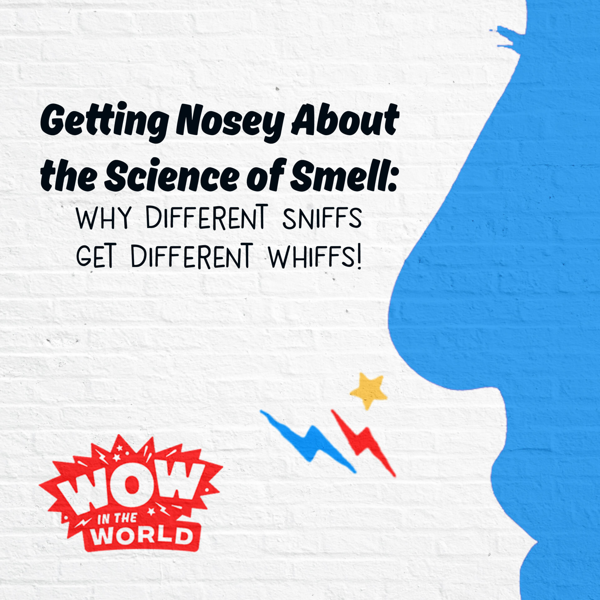 Getting Nosey About the Science of Smell: Why Different Sniffs Get ...