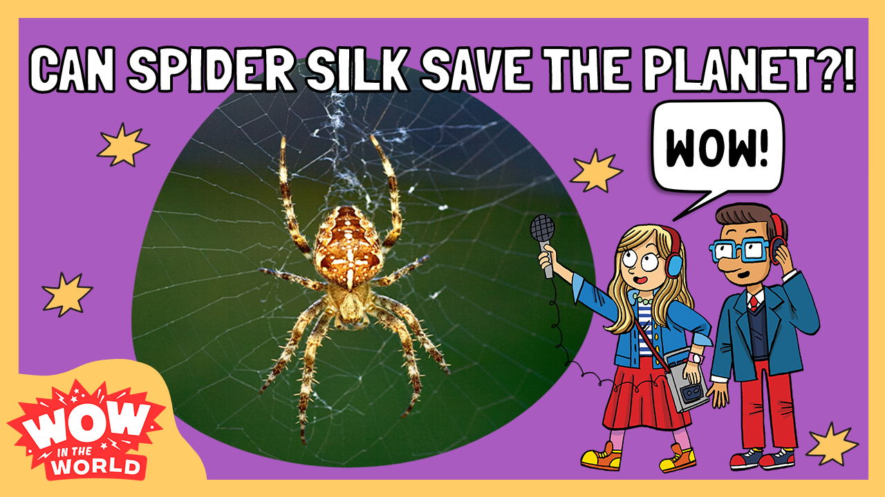 SeeSaw 3 - Tinkercast