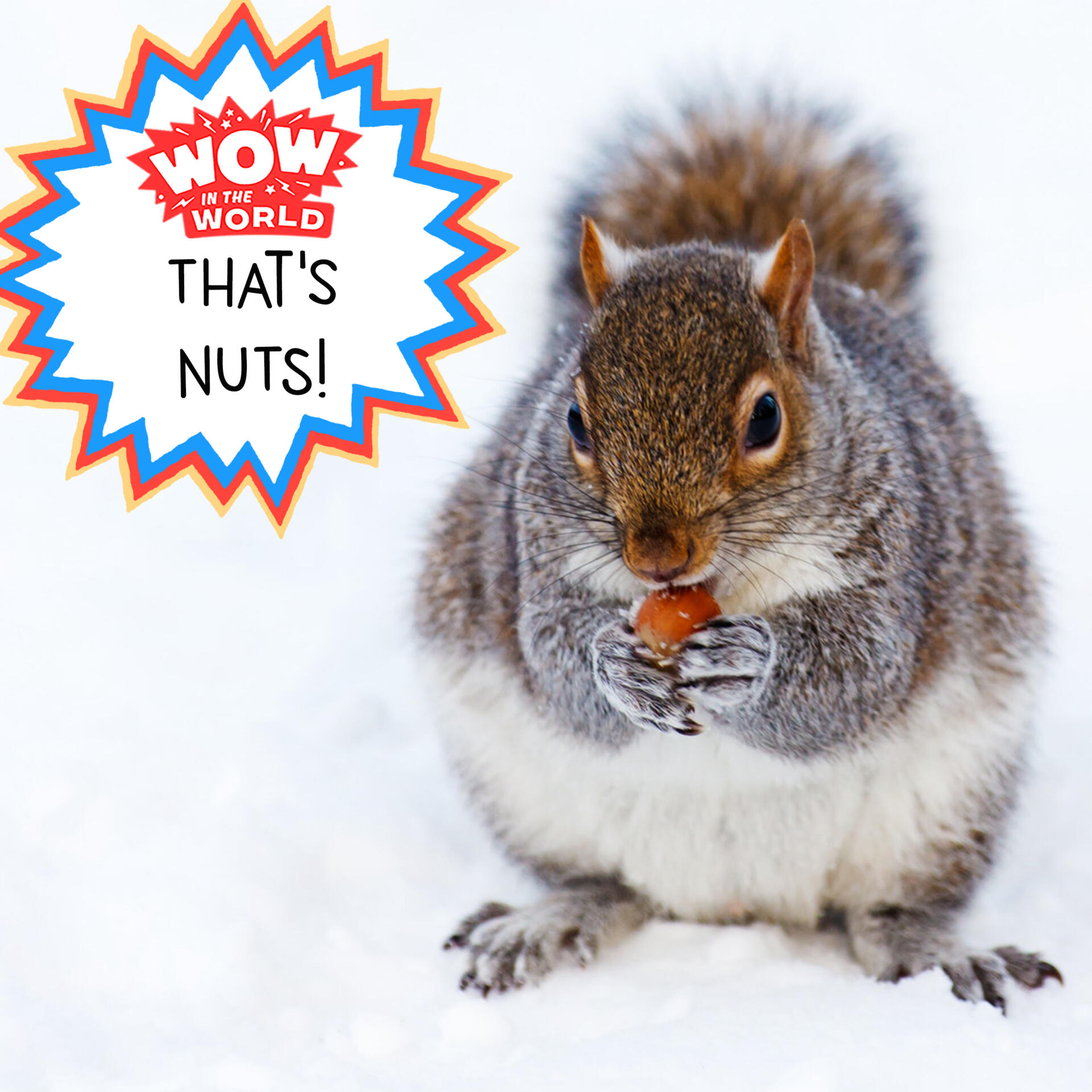 That’s NUTS! - Tinkercast