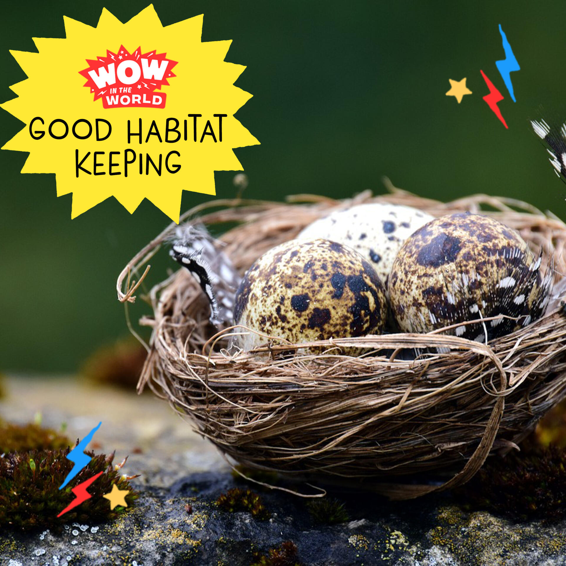 Good Habitat Keeping - Tinkercast