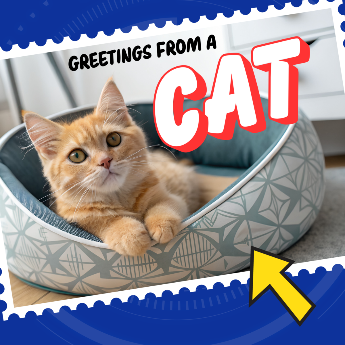 Postcards from Earth: Flip Meets a Cat - Tinkercast